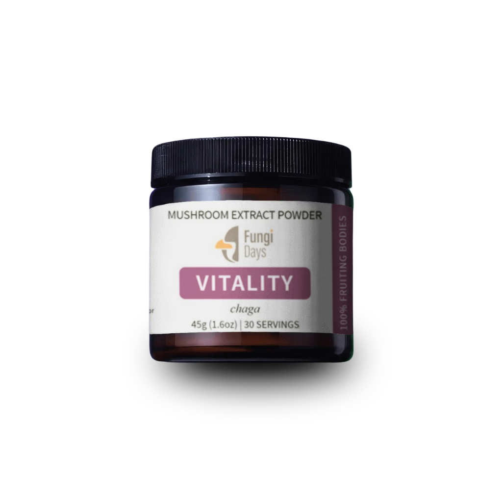Chaga Mushroom Extract Powder – Fungi Days